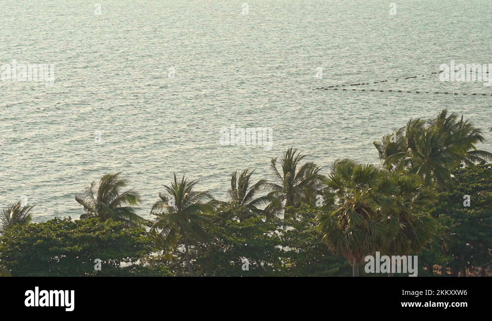 Mussel business Stock Videos & Footage - HD and 4K Video Clips - Alamy