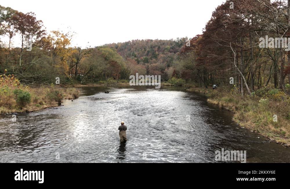 Fishing fork Stock Videos & Footage - HD and 4K Video Clips - Alamy