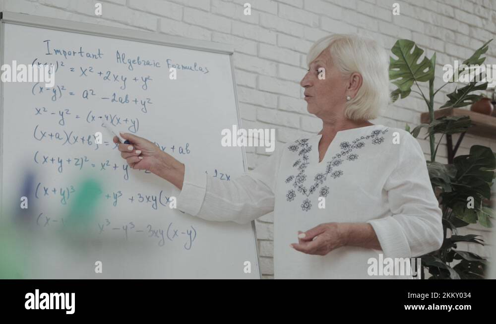 Older female teacher classroom Stock Videos & Footage - HD and 4K Video ...