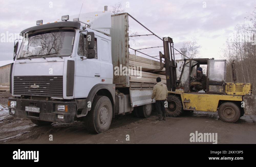 Forklift load packs of timber boards on motor lorry at sawmill factory ...