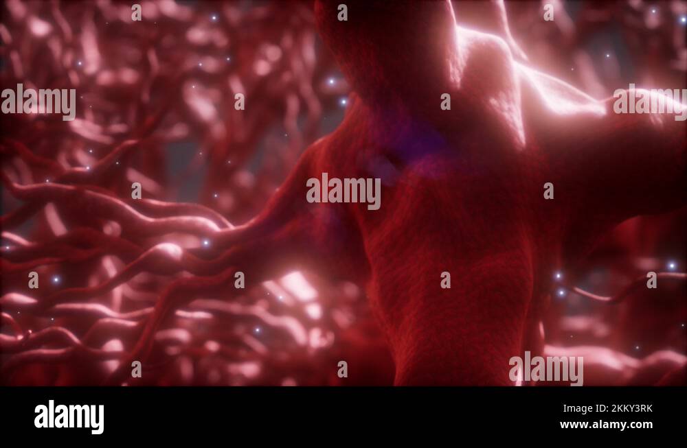 Diagram of a neuron Stock Videos & Footage - HD and 4K Video Clips - Alamy