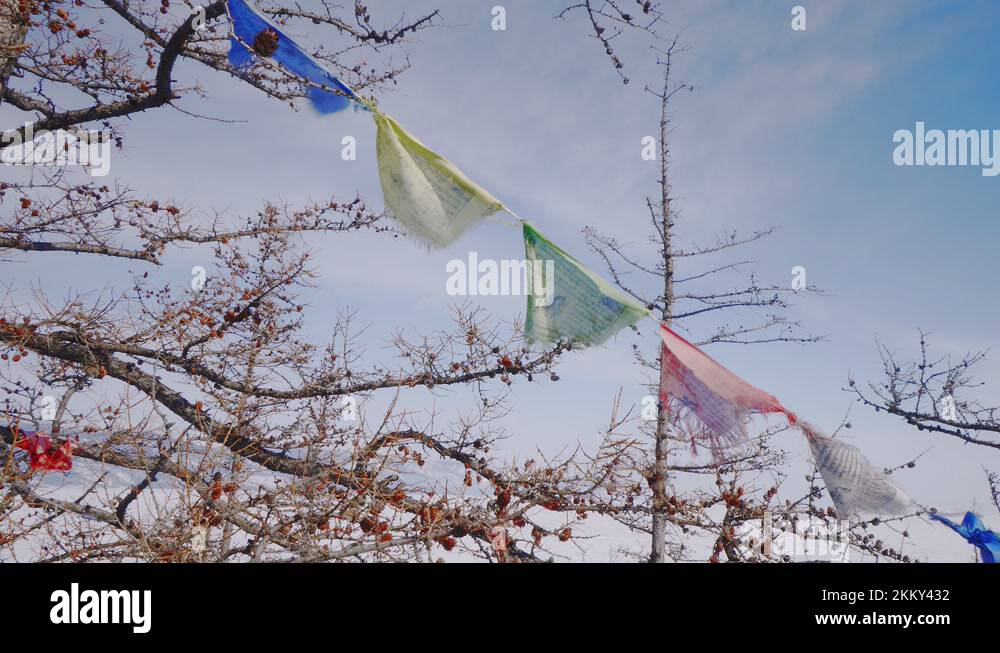 Ribbon tied on trees Stock Videos & Footage - HD and 4K Video Clips - Alamy