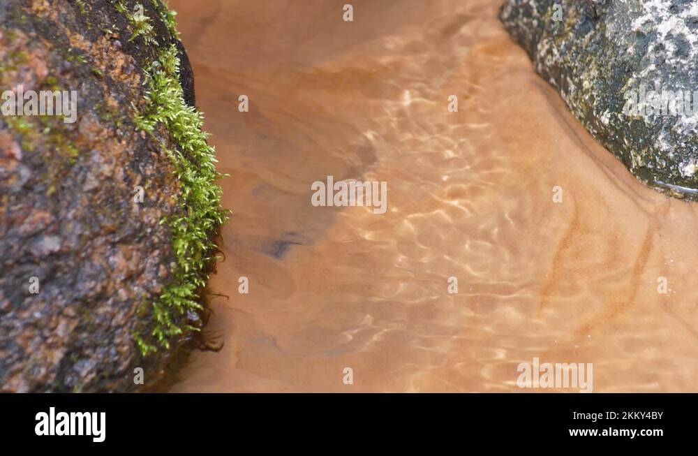 Transparent spring water flows through the rocks and sand. Forest water ...