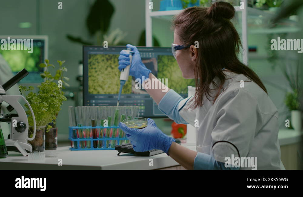 Chemist woman taking dna liquid from test tube with micropipette Stock ...
