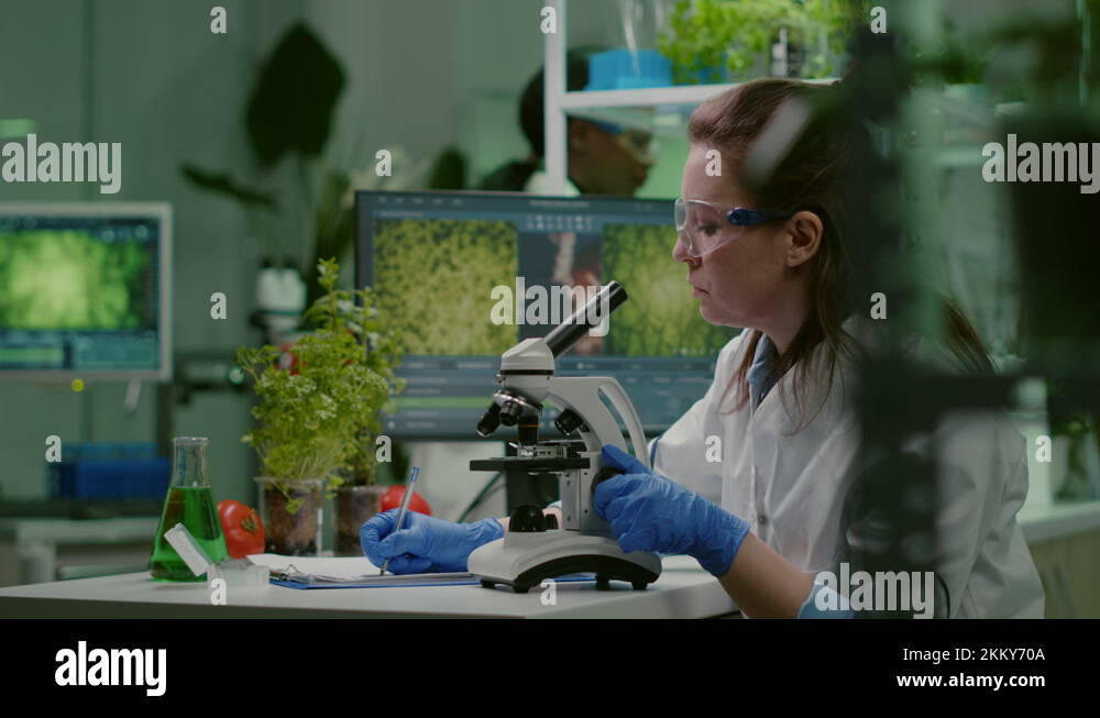 Pharmaceutical scientist looking at green leaf sample on microscope ...