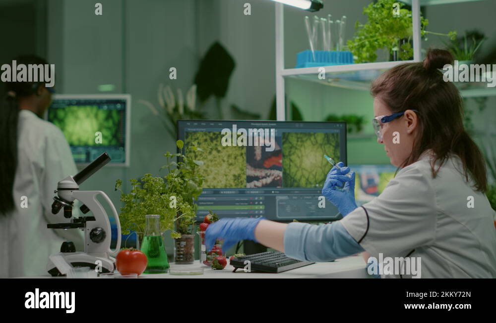 Genetic mutation experiment Stock Videos & Footage - HD and 4K Video ...