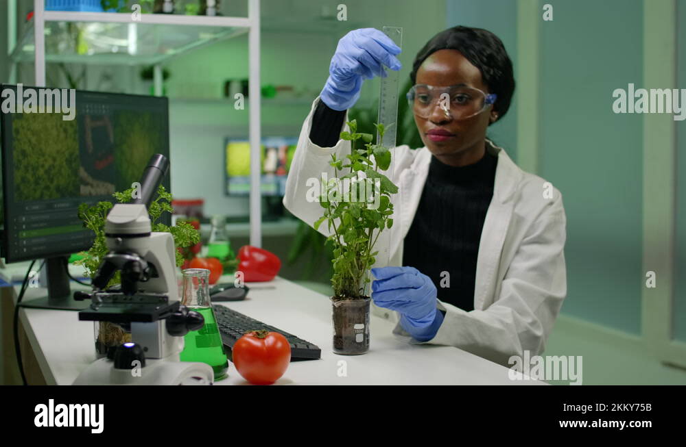 Botany experiment Stock Videos & Footage - HD and 4K Video Clips - Alamy