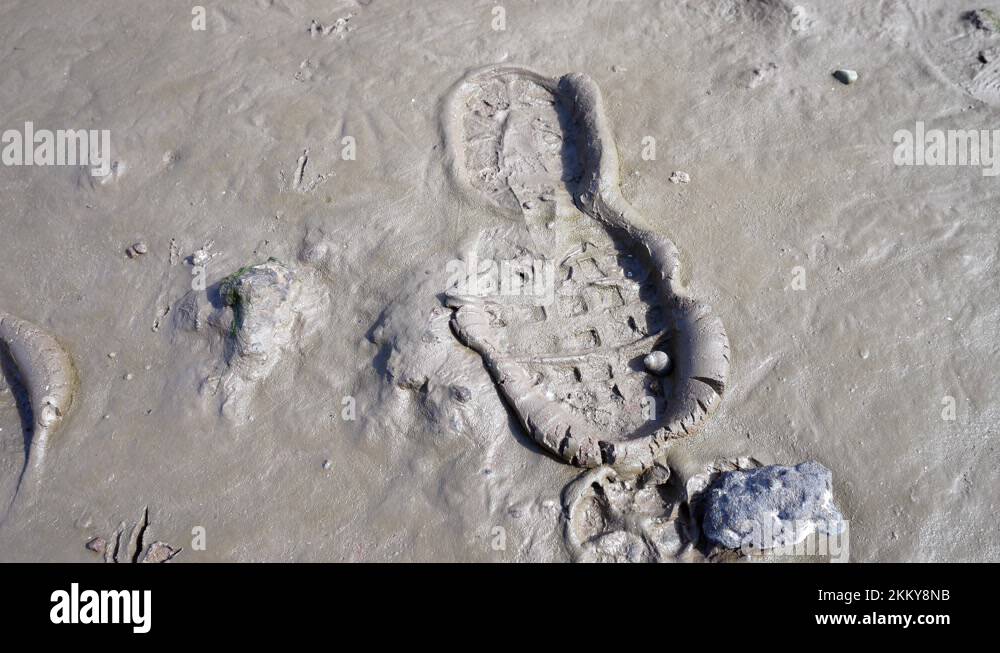 Wet footprint Stock Videos & Footage - HD and 4K Video Clips - Alamy