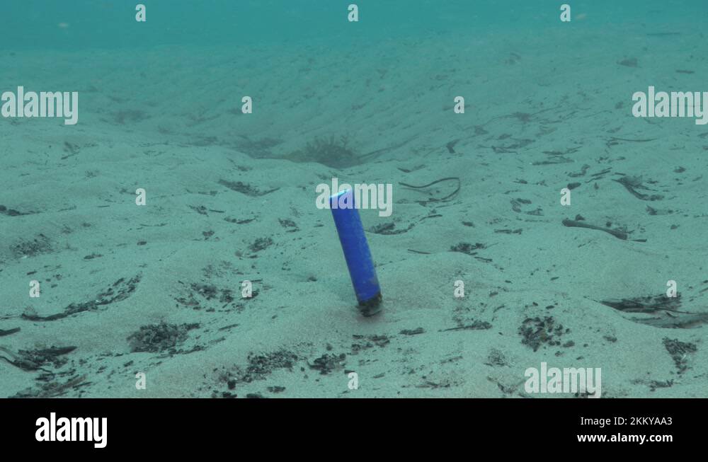 Underwater footage of a discarded cigarette lighter bobbing along the ...
