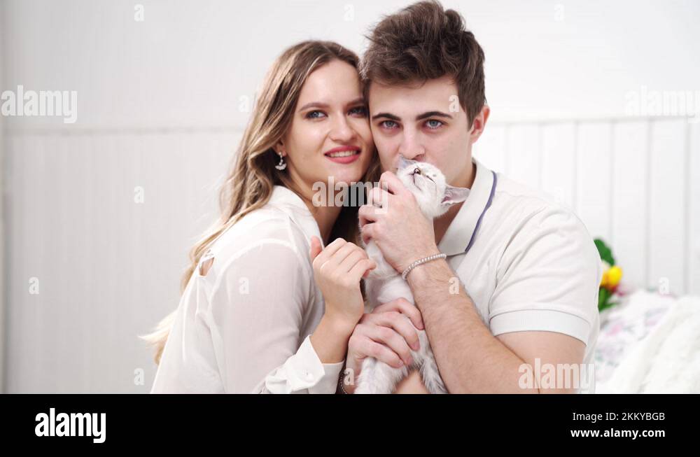 Kitten lovers Stock Videos & Footage - HD and 4K Video Clips - Alamy