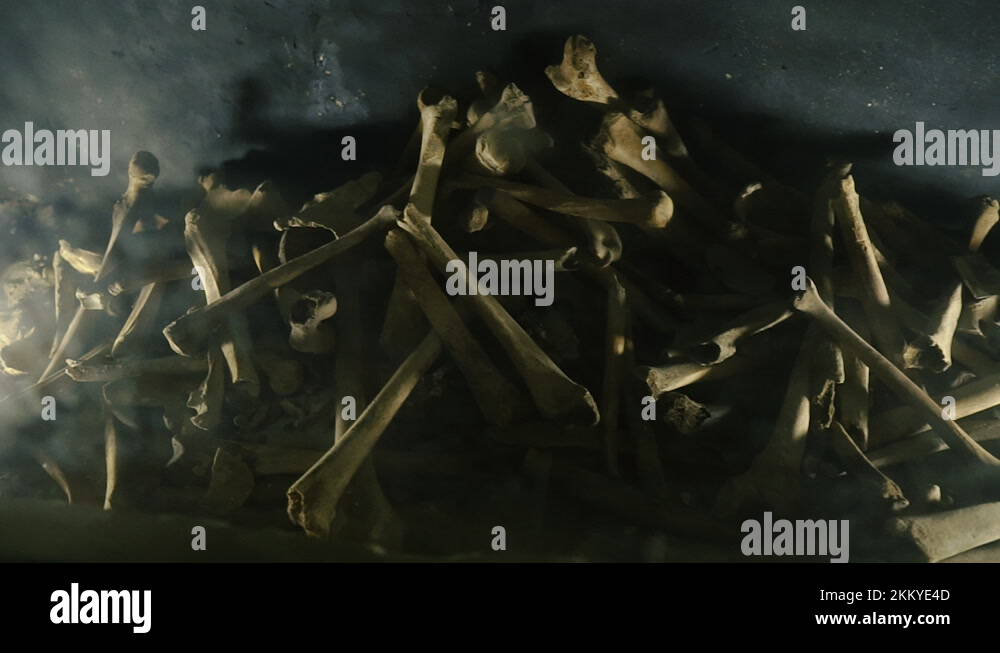 Neanderthal human skeleton Stock Videos & Footage - HD and 4K Video ...