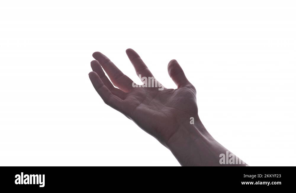 Sign open palm white Stock Videos & Footage - HD and 4K Video Clips - Alamy