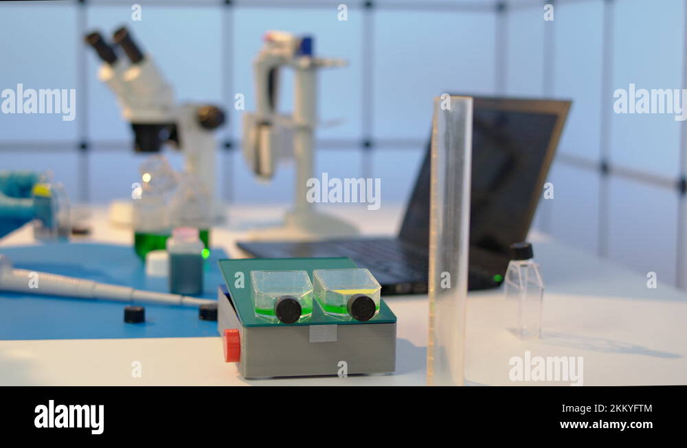 Microbiology culture Stock Videos & Footage - HD and 4K Video Clips - Alamy