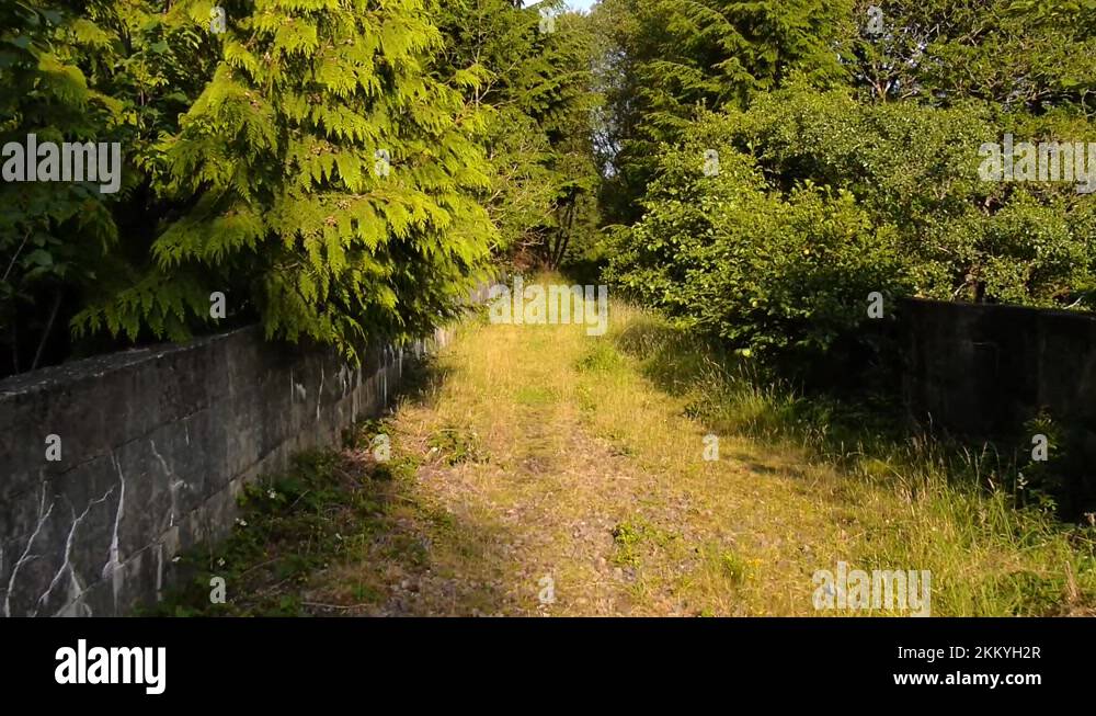 Disused railway tracks Stock Videos & Footage - HD and 4K Video Clips ...