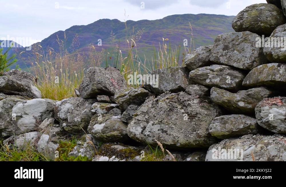 Heather wall Stock Videos & Footage - HD and 4K Video Clips - Alamy
