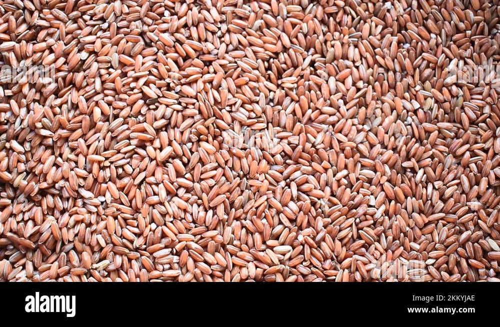 Red rice Stock Videos & Footage - HD and 4K Video Clips - Alamy