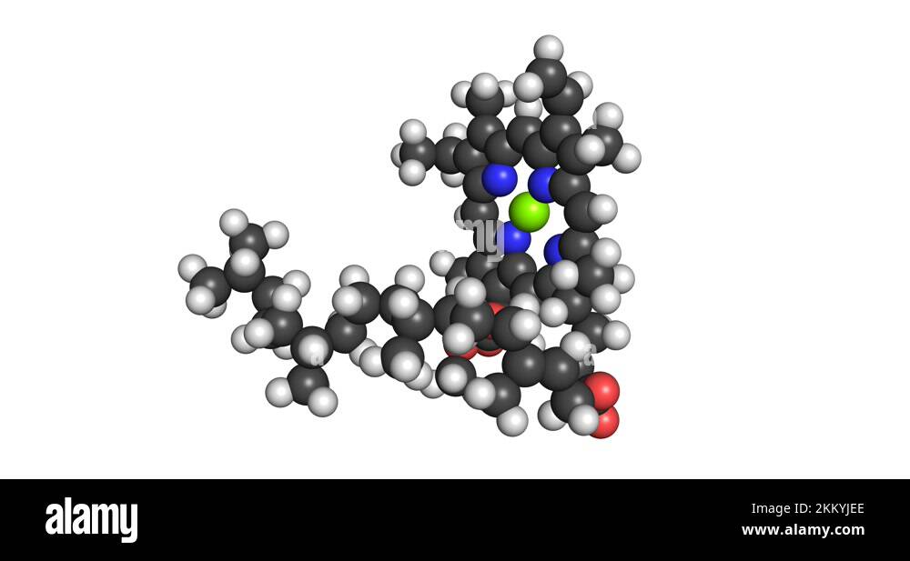 Pigment chlorophyll Stock Videos & Footage - HD and 4K Video Clips - Alamy