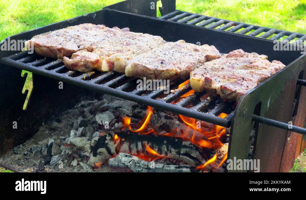 Barbeque smoke outdoors Stock Videos & Footage - HD and 4K Video Clips ...