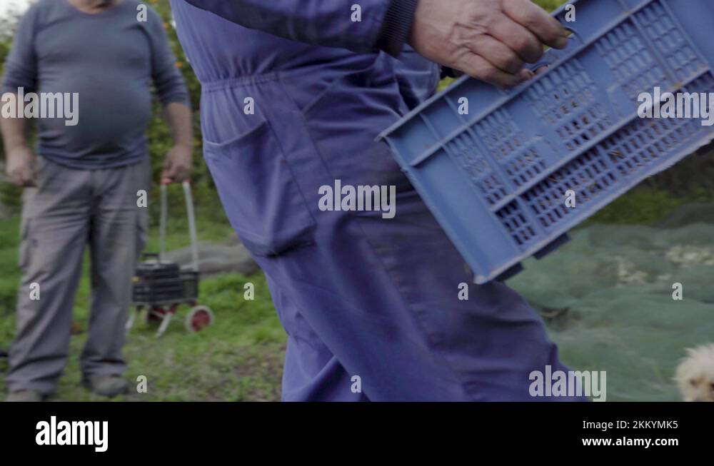 Traditional spanish man Stock Videos & Footage - HD and 4K Video Clips ...