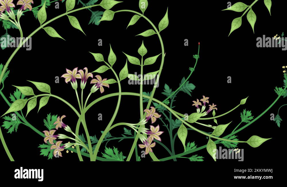 End flowers Stock Videos & Footage - HD and 4K Video Clips - Alamy