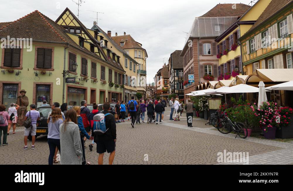 Alsatian people Stock Videos & Footage - HD and 4K Video Clips - Alamy
