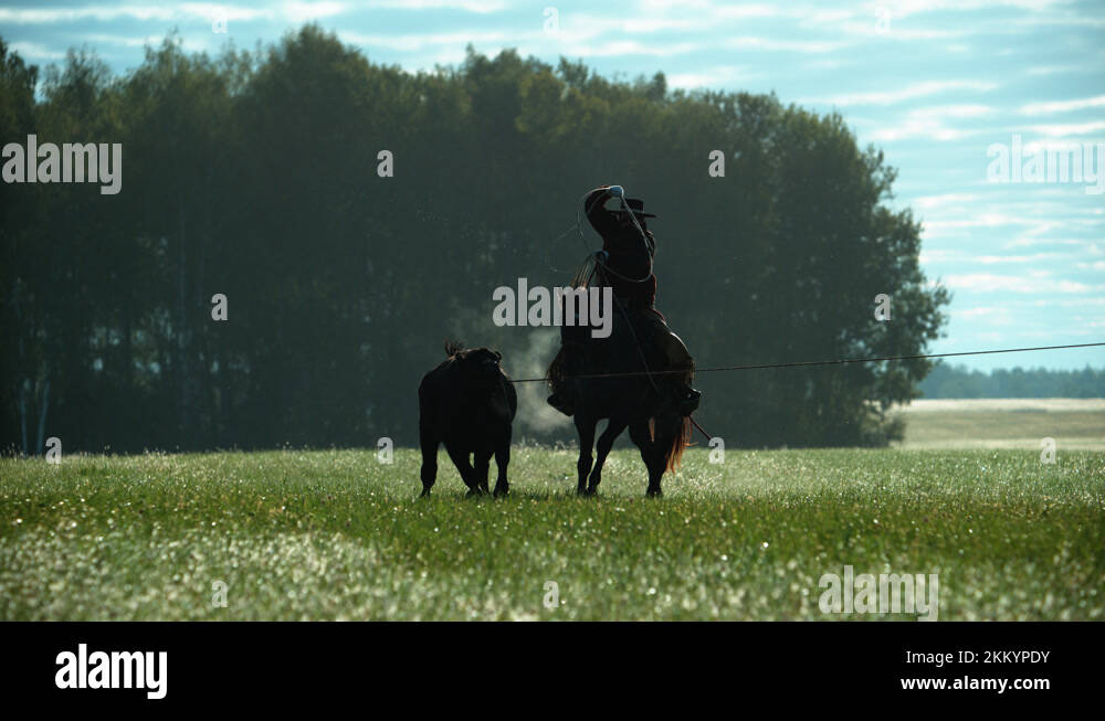 Rope work field Stock Videos & Footage - HD and 4K Video Clips - Alamy