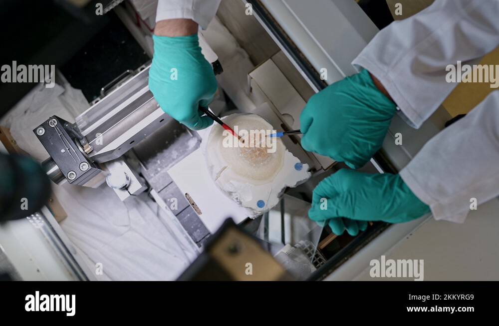 Brain slice Stock Videos & Footage - HD and 4K Video Clips - Alamy