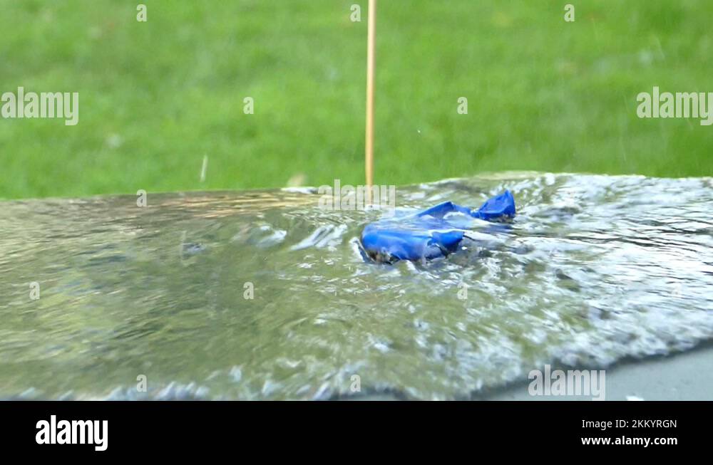 Blue balloon popping with a sharp bamboo stick in slow motion outdoor ...