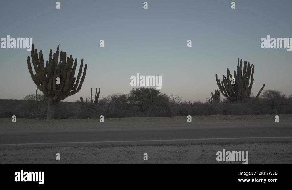 Desert blur Stock Videos & Footage - HD and 4K Video Clips - Alamy