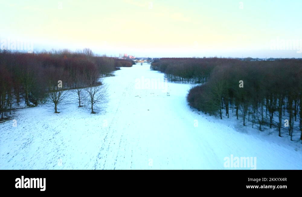 Path trough the forest Stock Videos & Footage - HD and 4K Video Clips ...