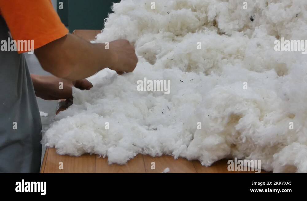 Weaving raw cotton Stock Videos & Footage - HD and 4K Video Clips - Alamy