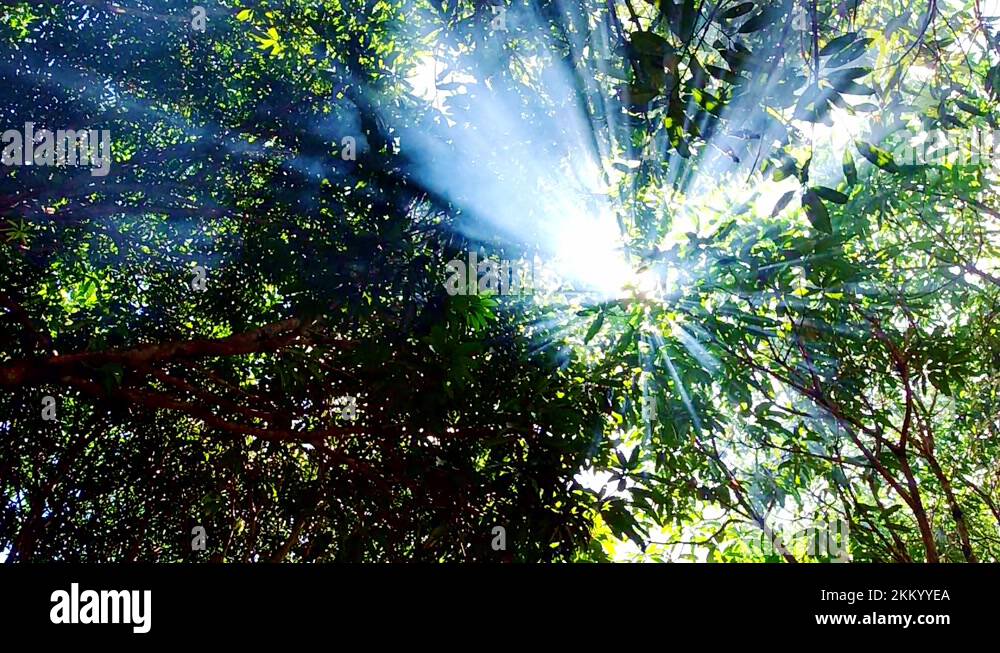 Shafts of light rays Stock Videos & Footage - HD and 4K Video Clips - Alamy