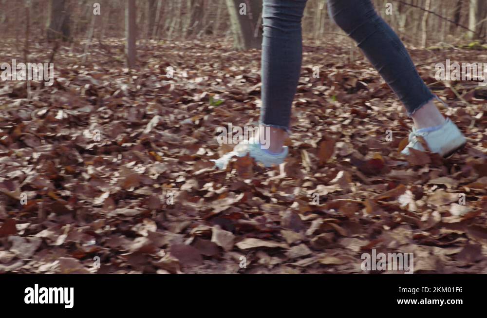 Crunchy leaves Stock Videos & Footage - HD and 4K Video Clips - Alamy