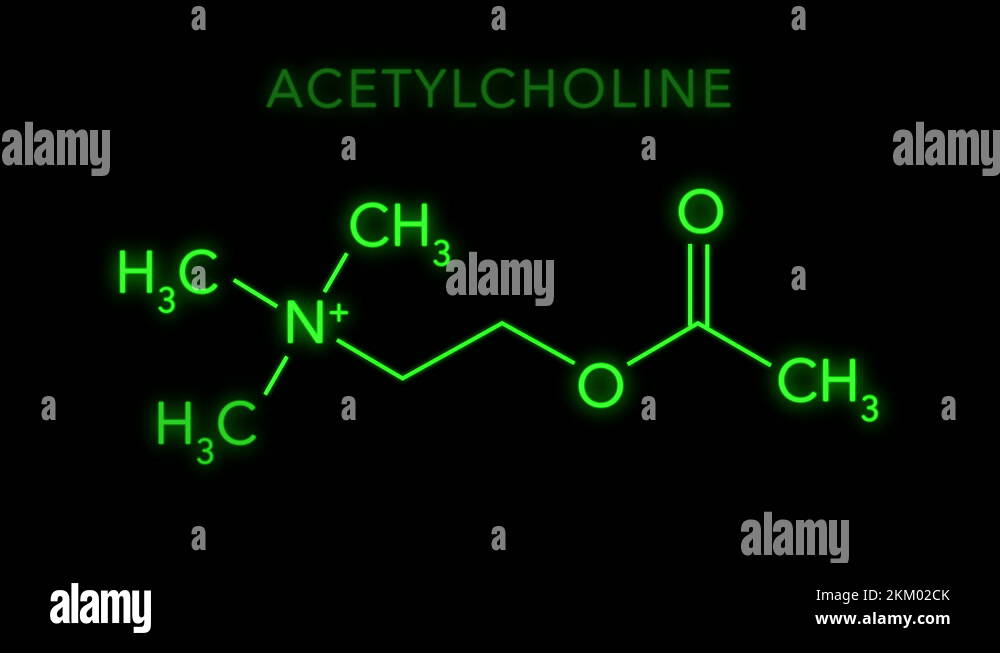 Acetylcholine symbol Stock Videos & Footage - HD and 4K Video Clips - Alamy