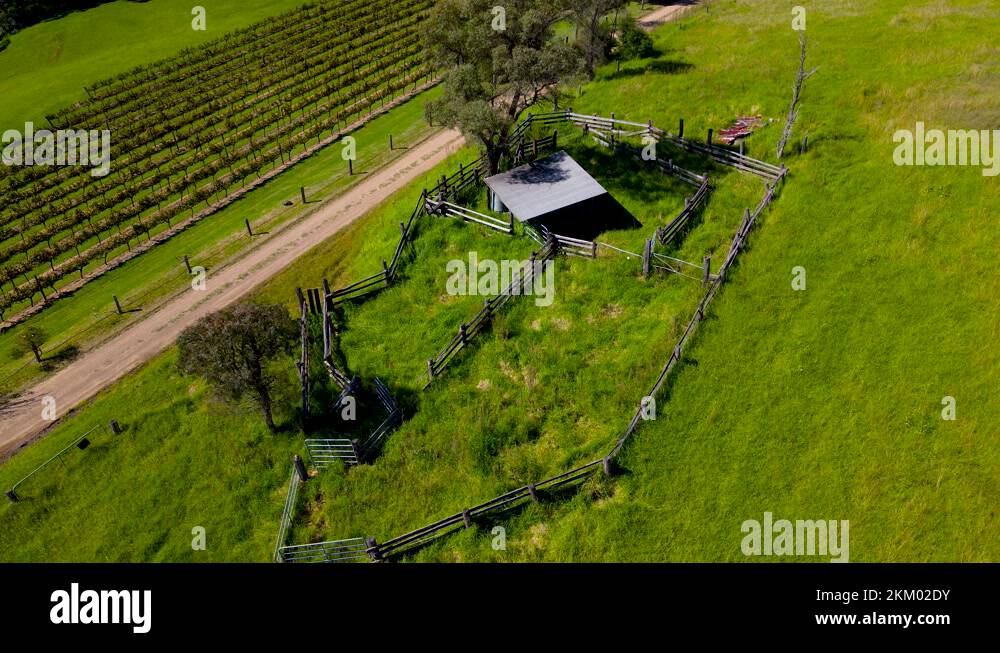 Outback cattle farming Stock Videos & Footage - HD and 4K Video Clips ...