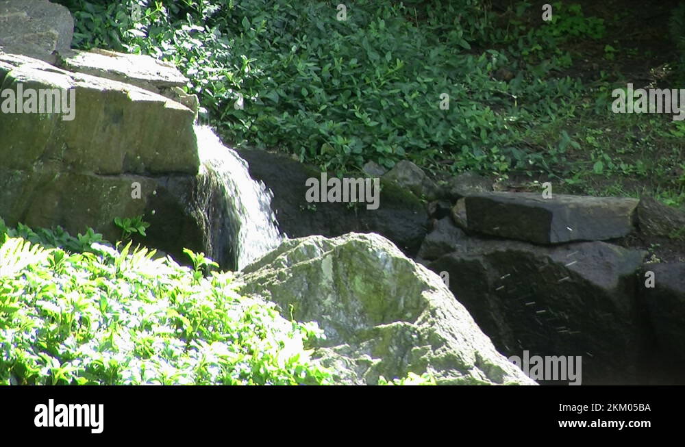 Cascading garden Stock Videos & Footage - HD and 4K Video Clips - Alamy
