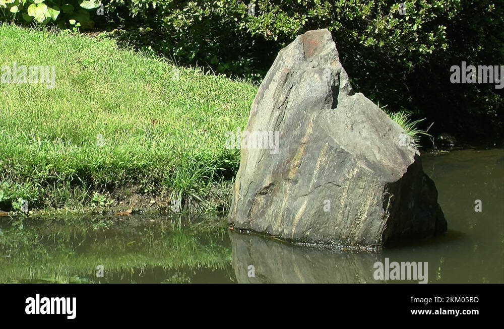 Rock edge garden Stock Videos & Footage - HD and 4K Video Clips - Alamy