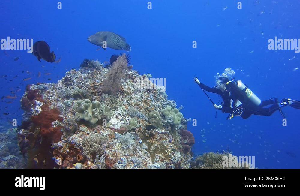 Gopro in the ocean Stock Videos & Footage - HD and 4K Video Clips - Alamy
