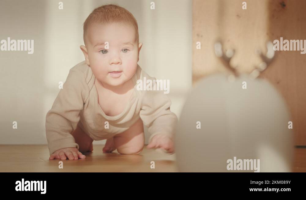 Crawling curious Stock Videos & Footage - HD and 4K Video Clips - Alamy