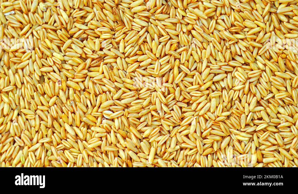 Raw wheat Stock Videos & Footage - HD and 4K Video Clips - Alamy