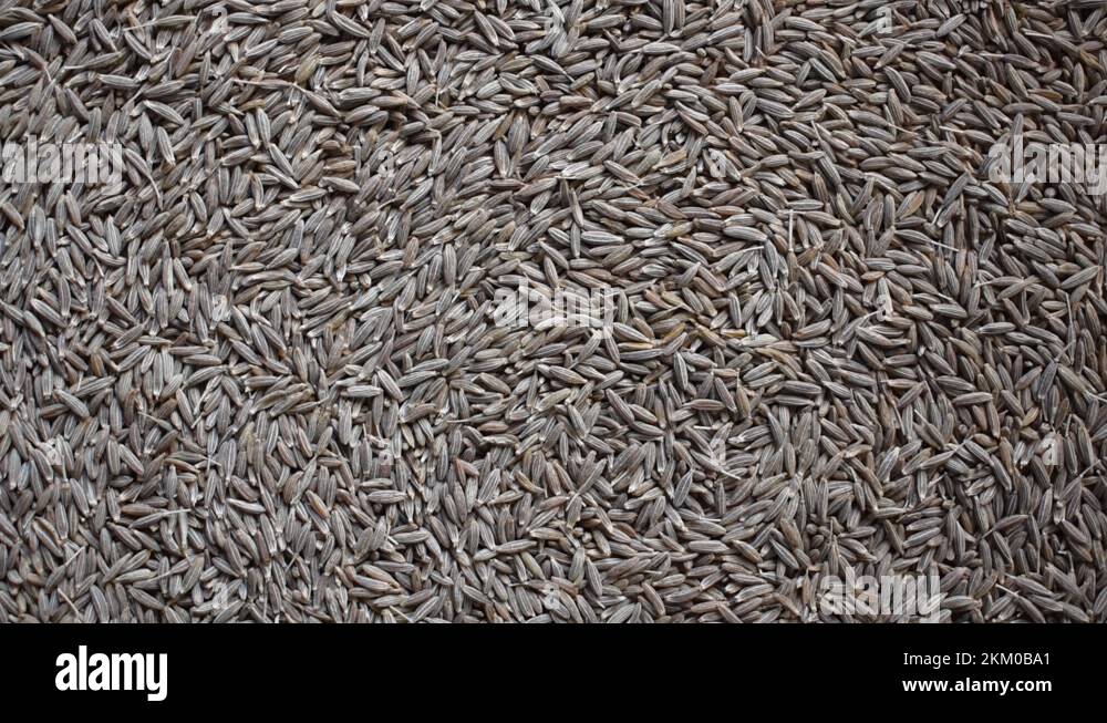 Cumin seeds texture Stock Videos & Footage - HD and 4K Video Clips - Alamy