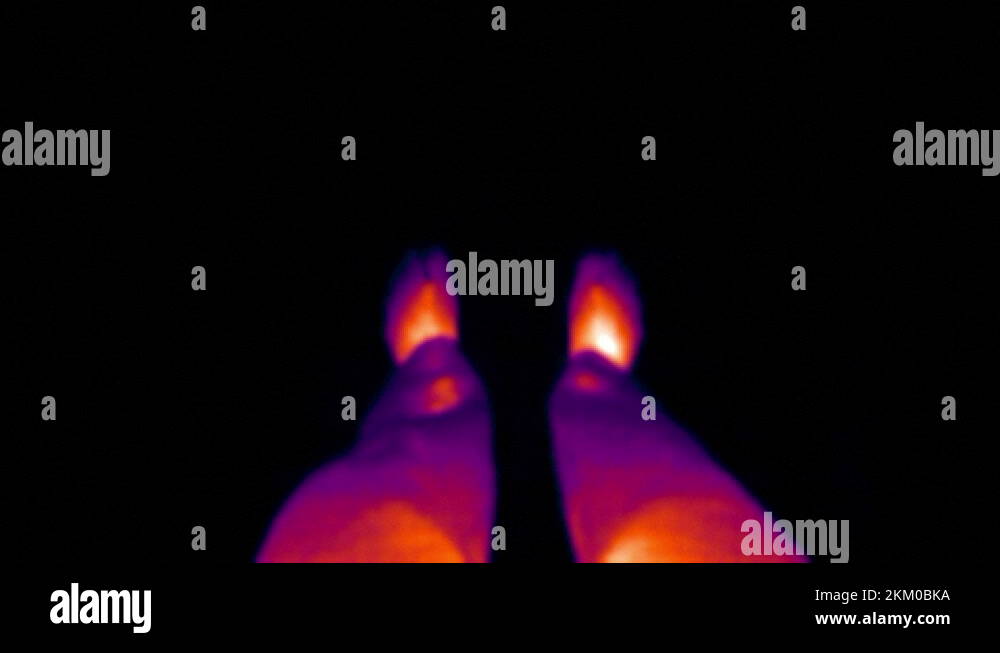 Thermal imaging view of walking, top view. Infrared, thermal, night ...