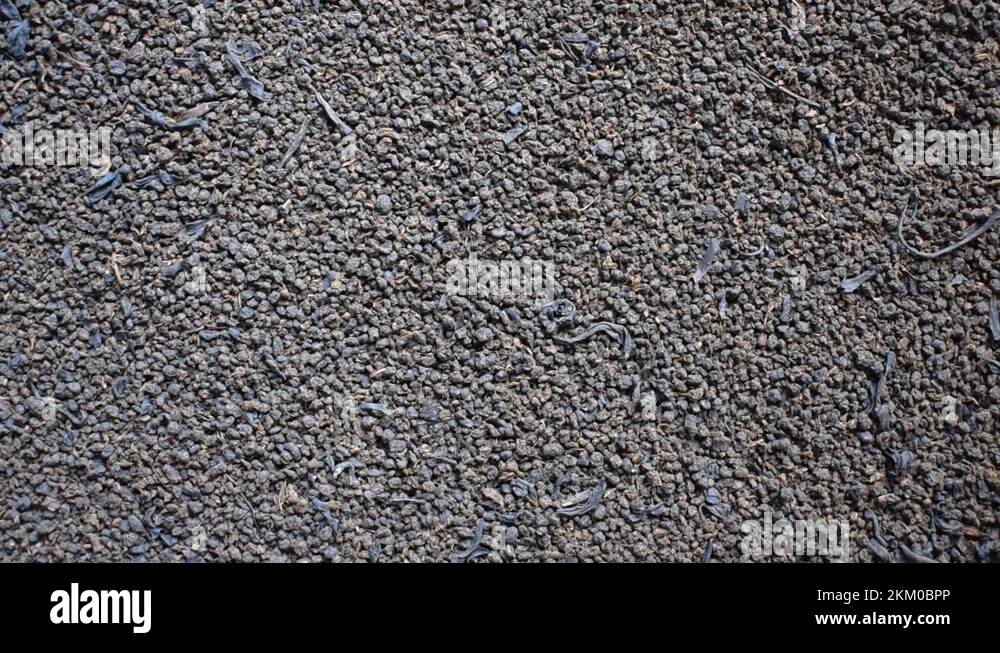 Coarse tea Stock Videos & Footage - HD and 4K Video Clips - Alamy