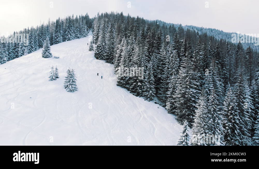 Winter snowy forest slope Stock Videos & Footage - HD and 4K Video ...