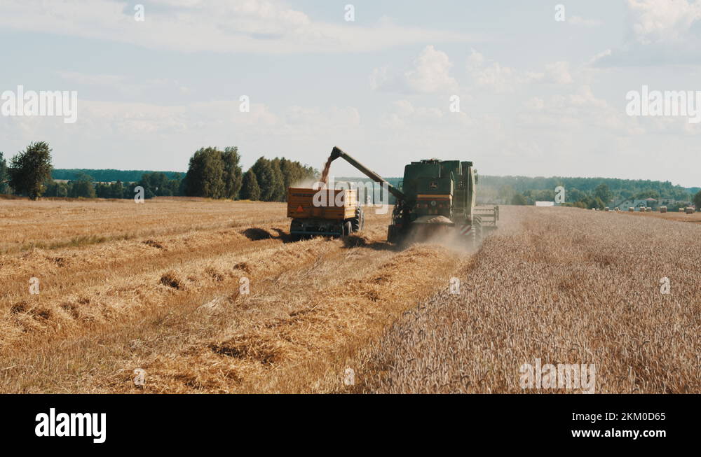 Combine Harvester Unloading Into A Tractor-Trailer During The Daytime ...