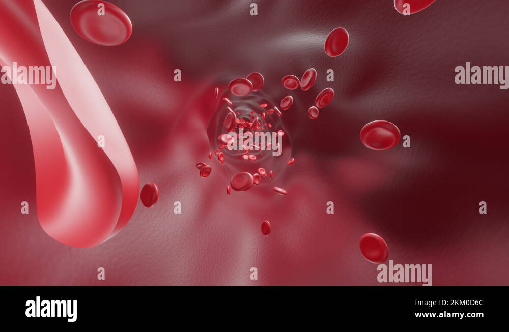 Tumor leukocytes Stock Videos & Footage - HD and 4K Video Clips - Alamy