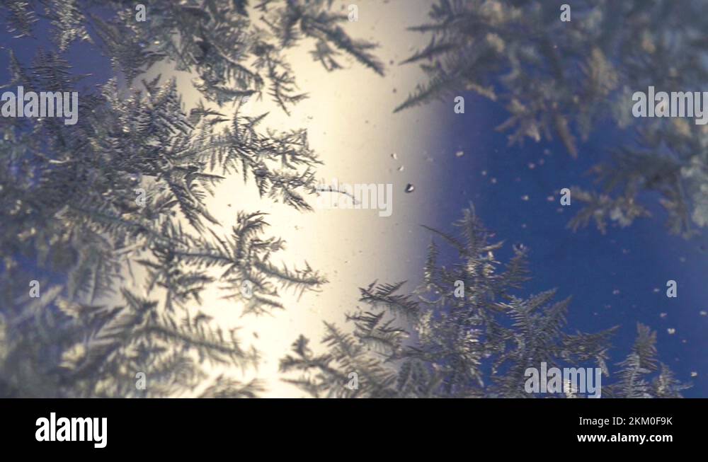 Fern ice pattern Stock Videos & Footage - HD and 4K Video Clips - Alamy