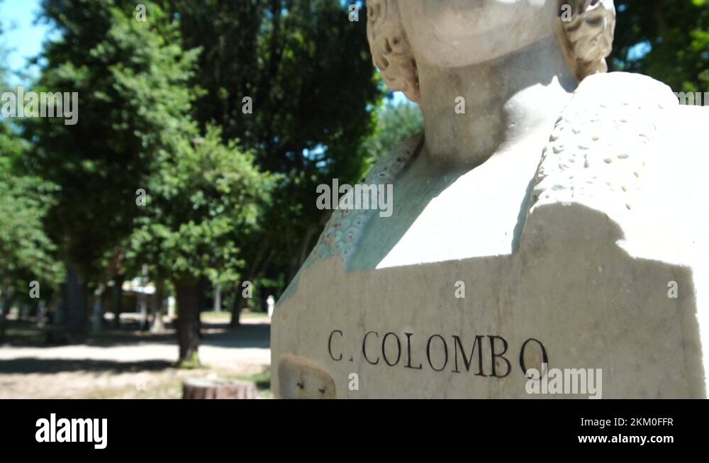 Bust view Stock Videos & Footage - HD and 4K Video Clips - Alamy