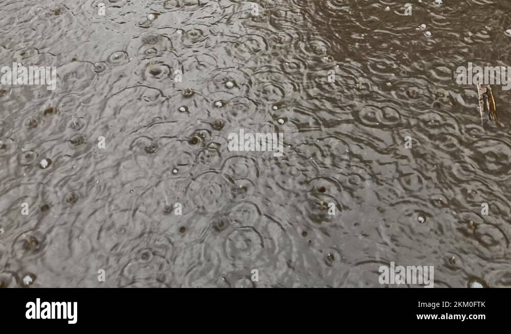 rain water drops falling into big puddle on asphalt, flooding the ...
