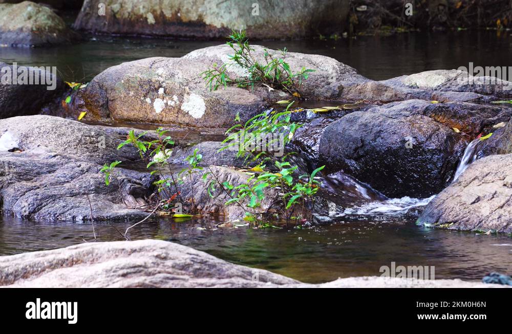 Restful scenery Stock Videos & Footage - HD and 4K Video Clips - Alamy